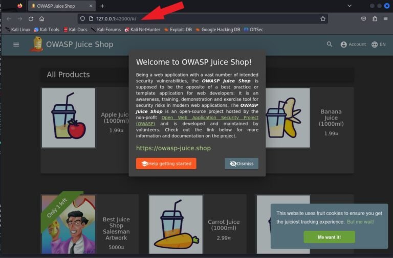 How To Install Owasp Juice Shop In Kali Linux: Easy Step-by-step Guide ...